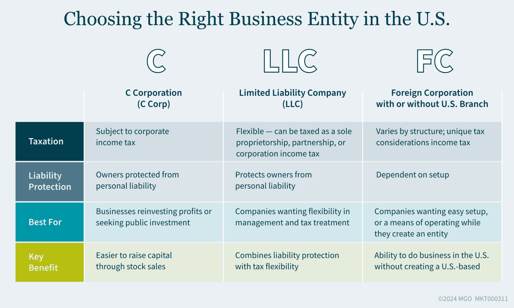 Choosing the Right Business Structure for Your U.S. Expansion - MGO CPA ...