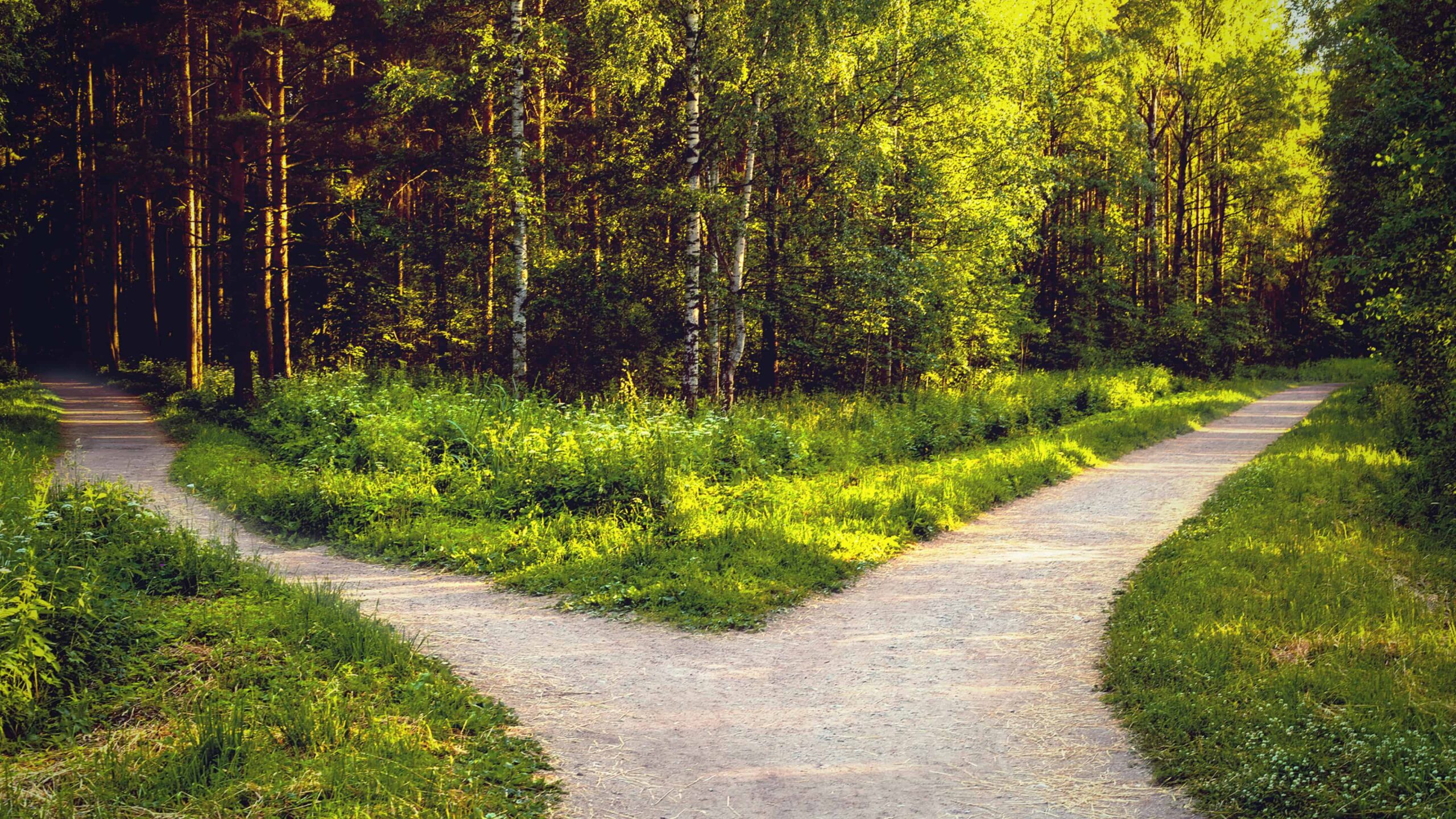 What Two IRS Rulings Reveal About Section 1202 Eligibility